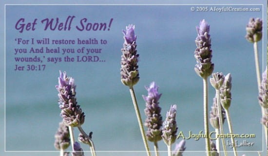 Get Well Ecard Free A Joyful Creation Greeting Cards Online