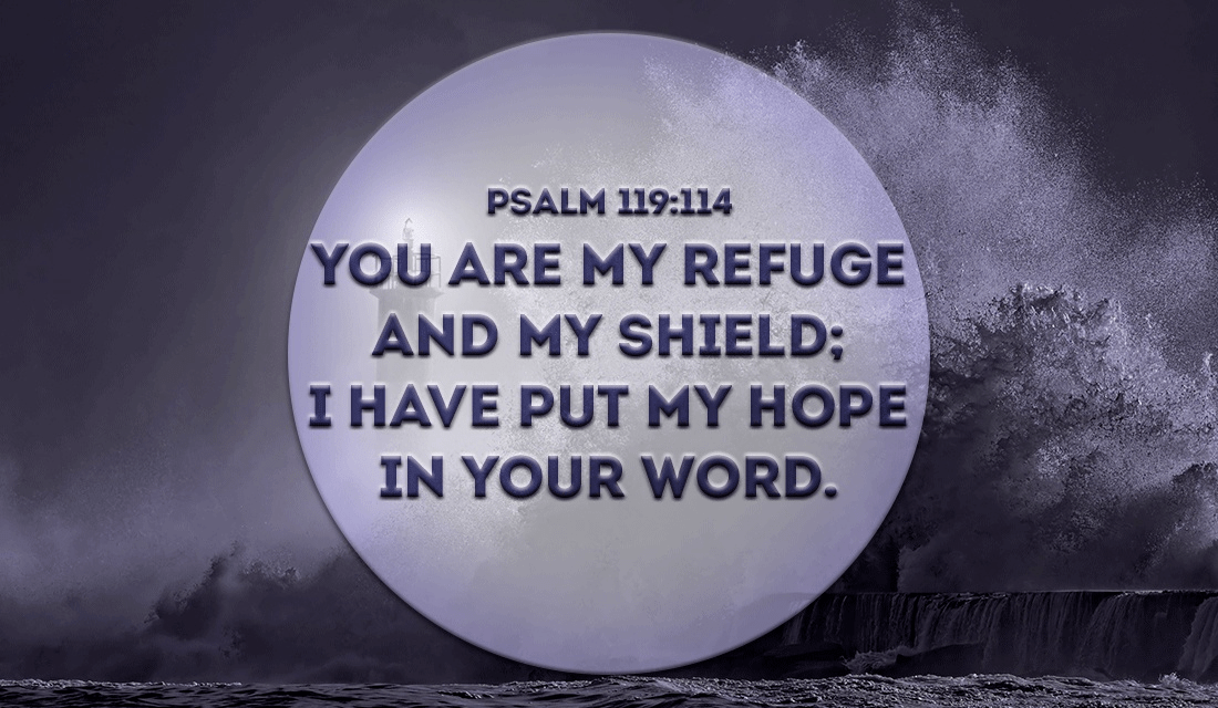 Thank You For Protecting Me Lord Amen Psalm 119 114 ECard Free thank-you-for-protecting-me-lord-amen-psalm-119-114-ecard-free