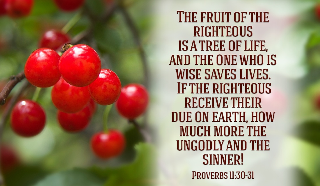 You Can Tell A Man By His Actions Proverbs 11 30 31 ECard Free You Can Tell A Man By His Actions Proverbs 11 30 31 ECard Free