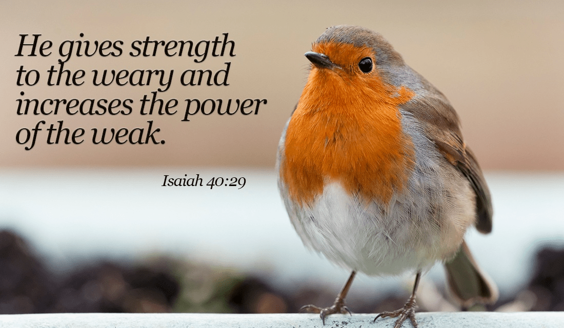 He WILL Make You Strong Believe In Him Isaiah 40 29 ECard Free He WILL Make You Strong Believe In Him Isaiah 40 29 ECard Free