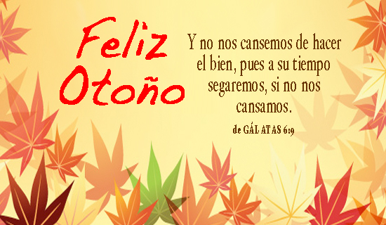 Demos Gracias A Dios Tarjetas