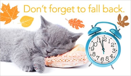 Fall Back eCard - Free Daylight Saving Ends Cards Online