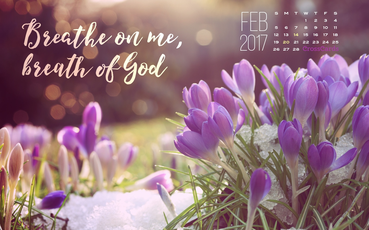 February 2017 - Breath of God Desktop Calendar- Free February Wallpaper