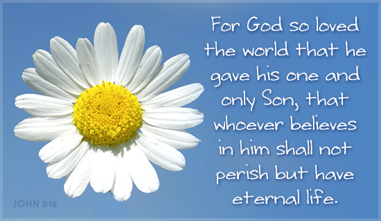 Free John 3:16 eCard - eMail Free Personalized Scripture Cards Online